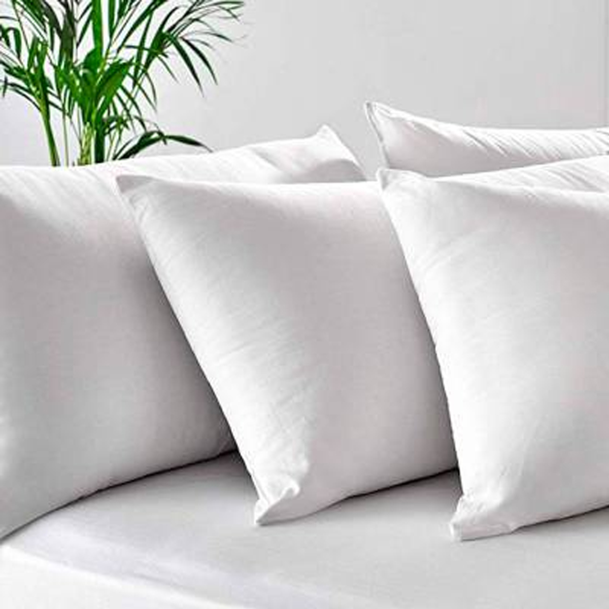 Comprar Almohadas - Muebles & Estilo Sevilla